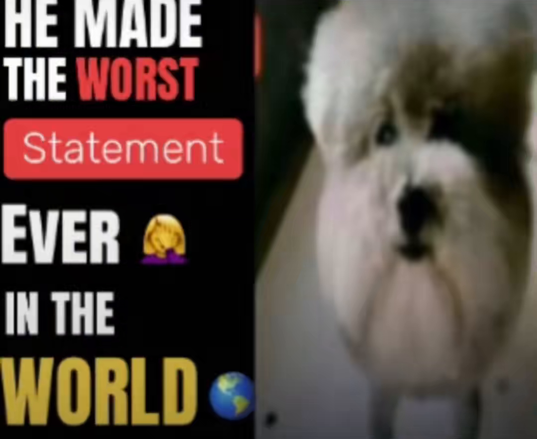 he made the worst statement ever in the world | Know Your Meme