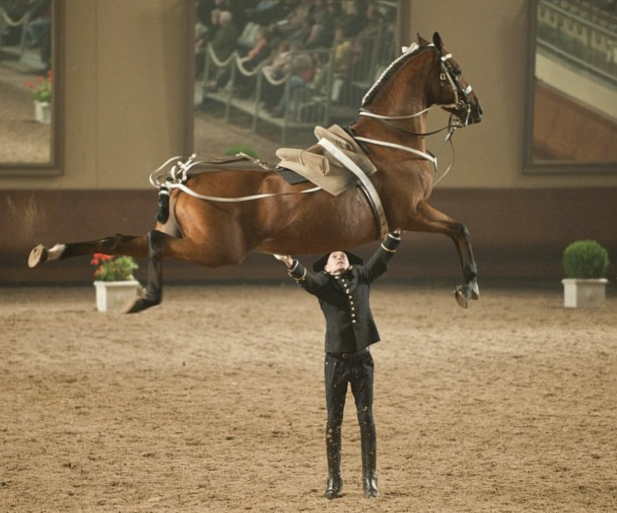 Holding him up | Perfectly Timed Photos | Know Your Meme