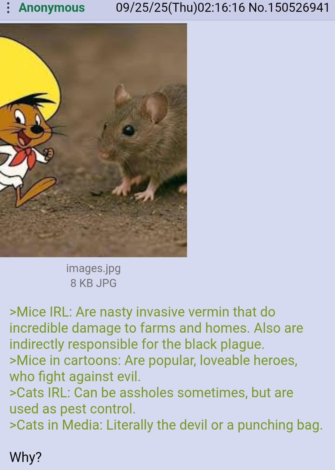 Anon watches cartoons | /r/Greentext | Know Your Meme