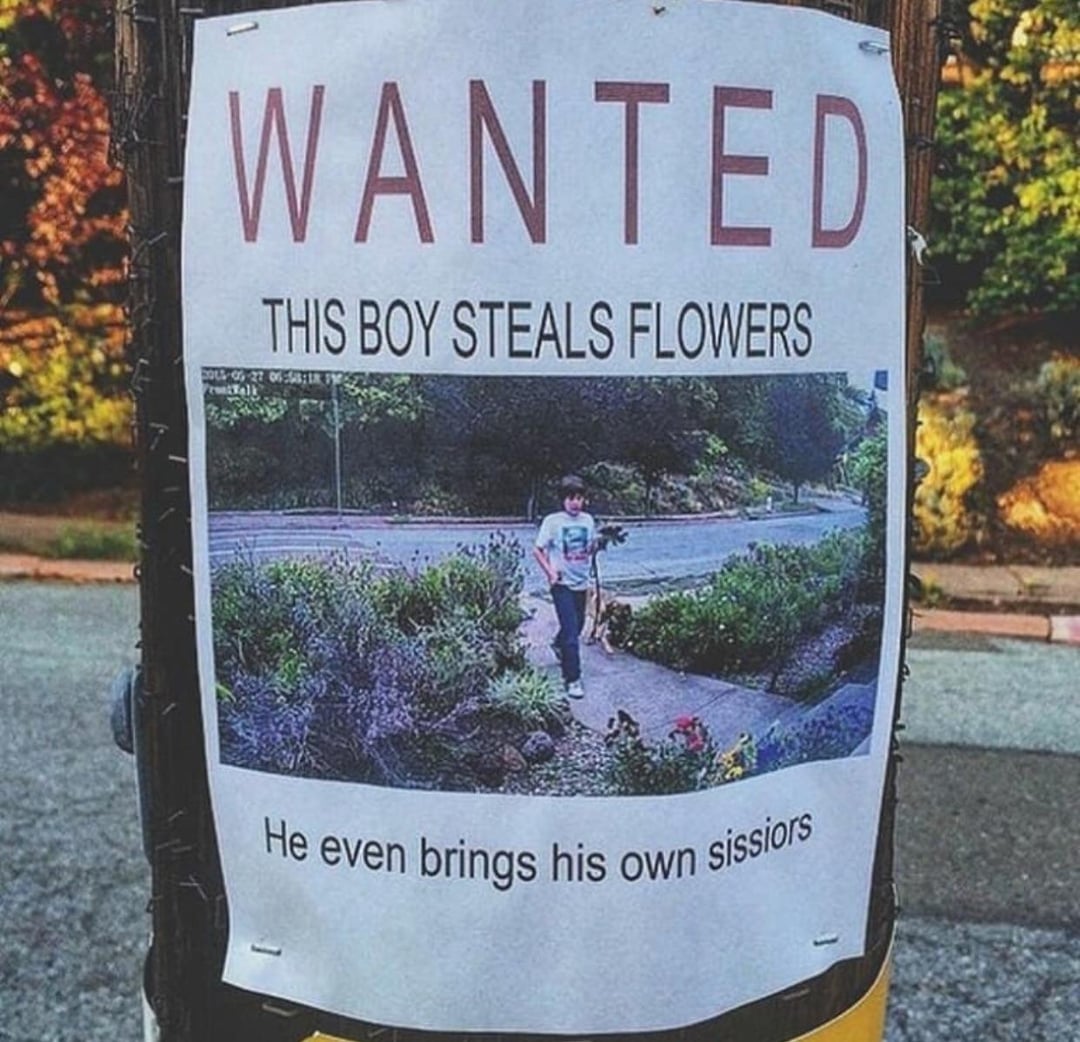 Wanted | Know Your Meme