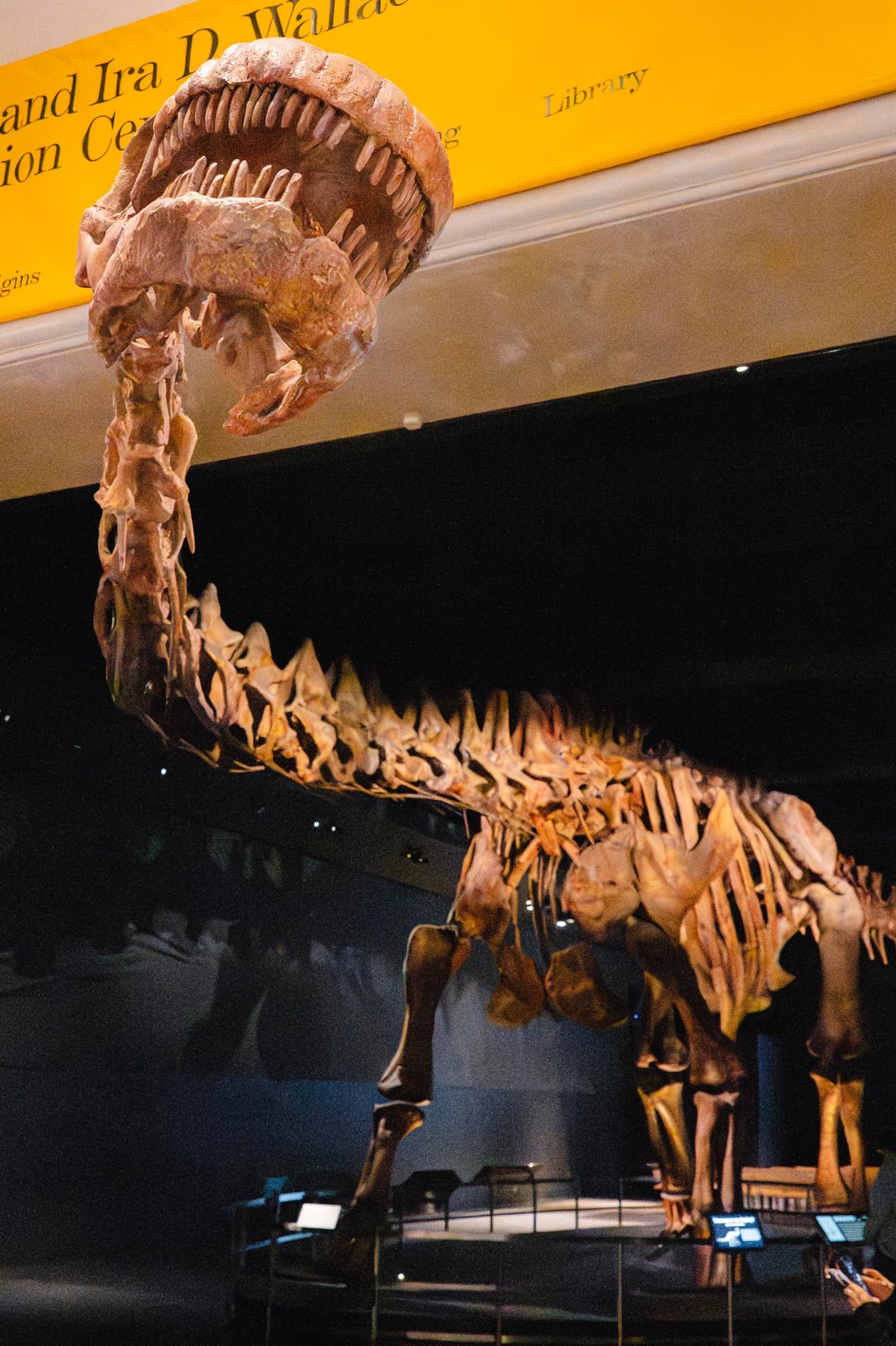 122-foot-long Titanosaur | Absolute Unit | Know Your Meme