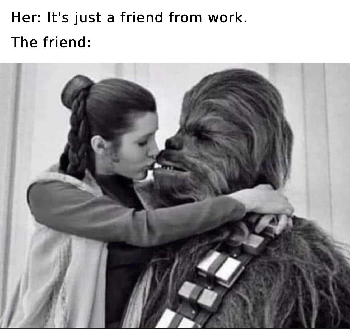 The Wookie she told you not to worry about. | /r/memes | Know Your Meme