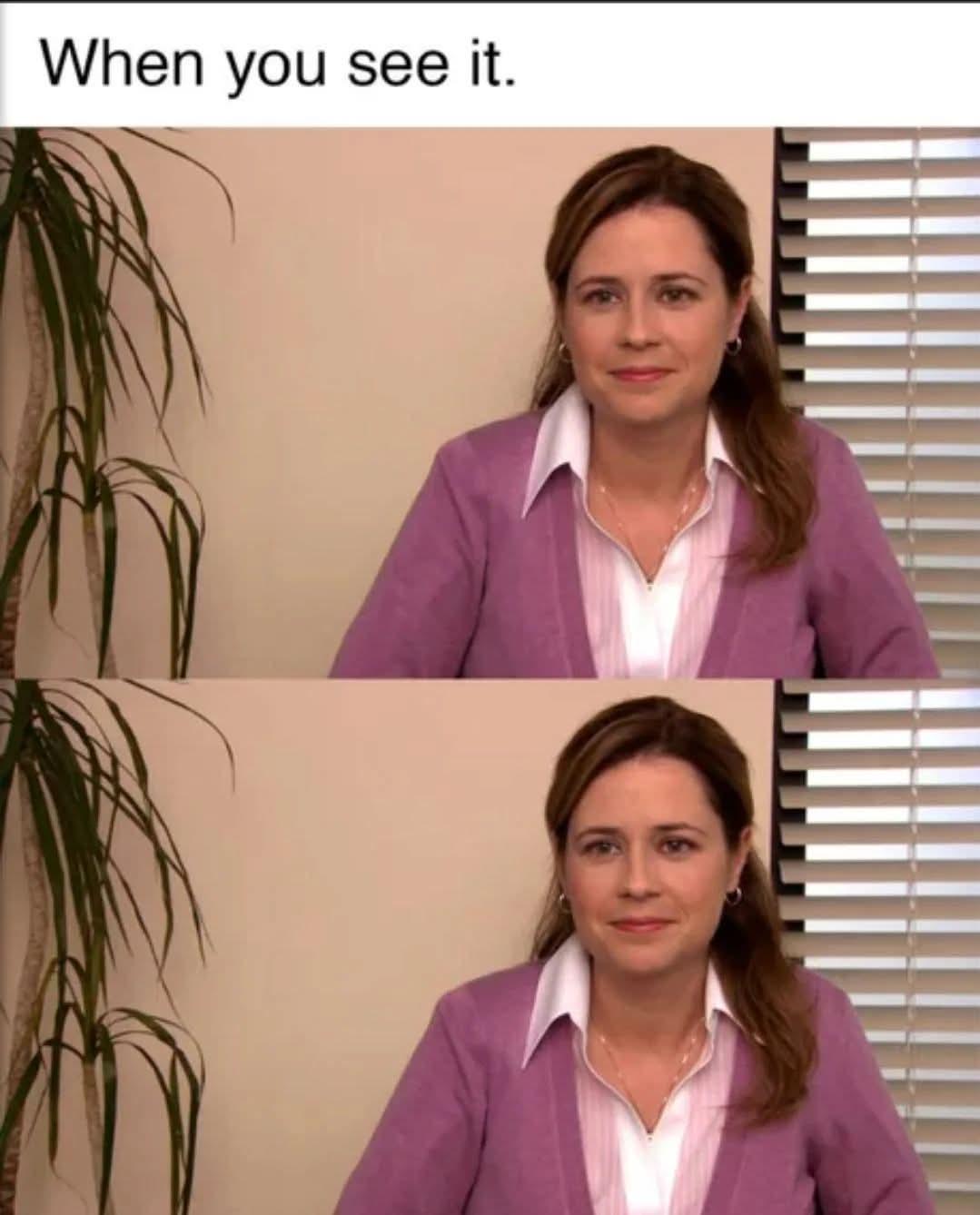 They're the same picture | /r/memes | Know Your Meme