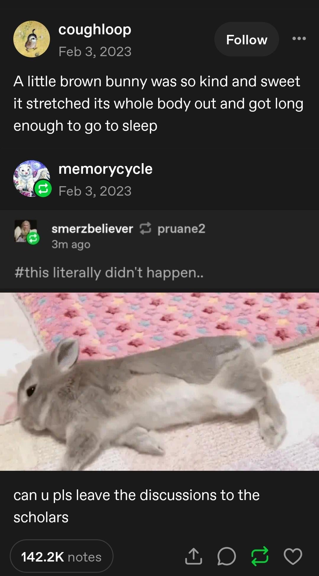 Bunnies | Tumblr | Know Your Meme