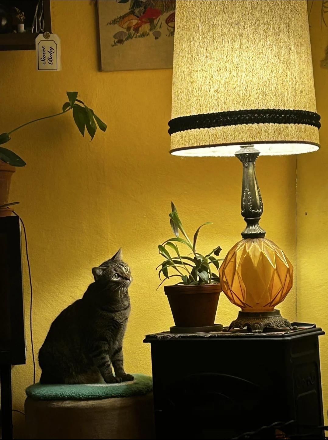 Contemplating | Accidental Renaissance | Know Your Meme