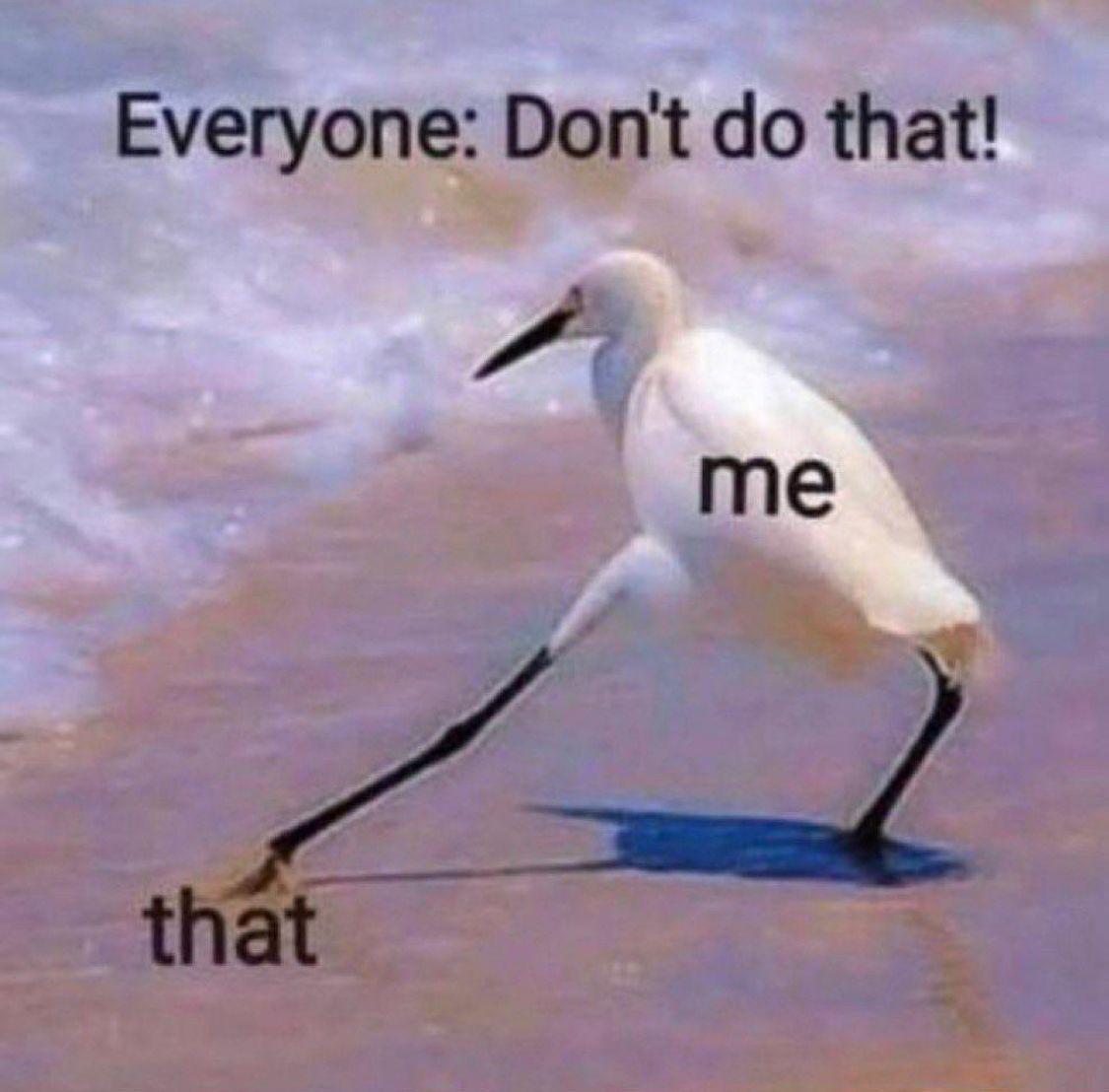 Me vs don't do that | /r/memes | Know Your Meme