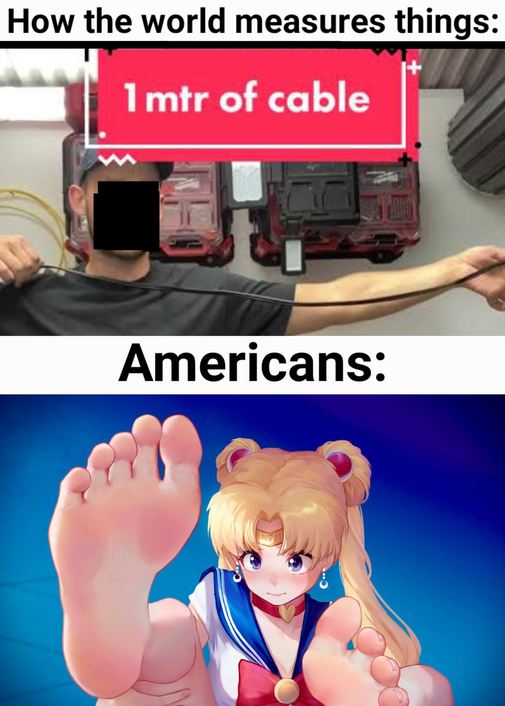 The superior measurement unit | /r/memes | Know Your Meme