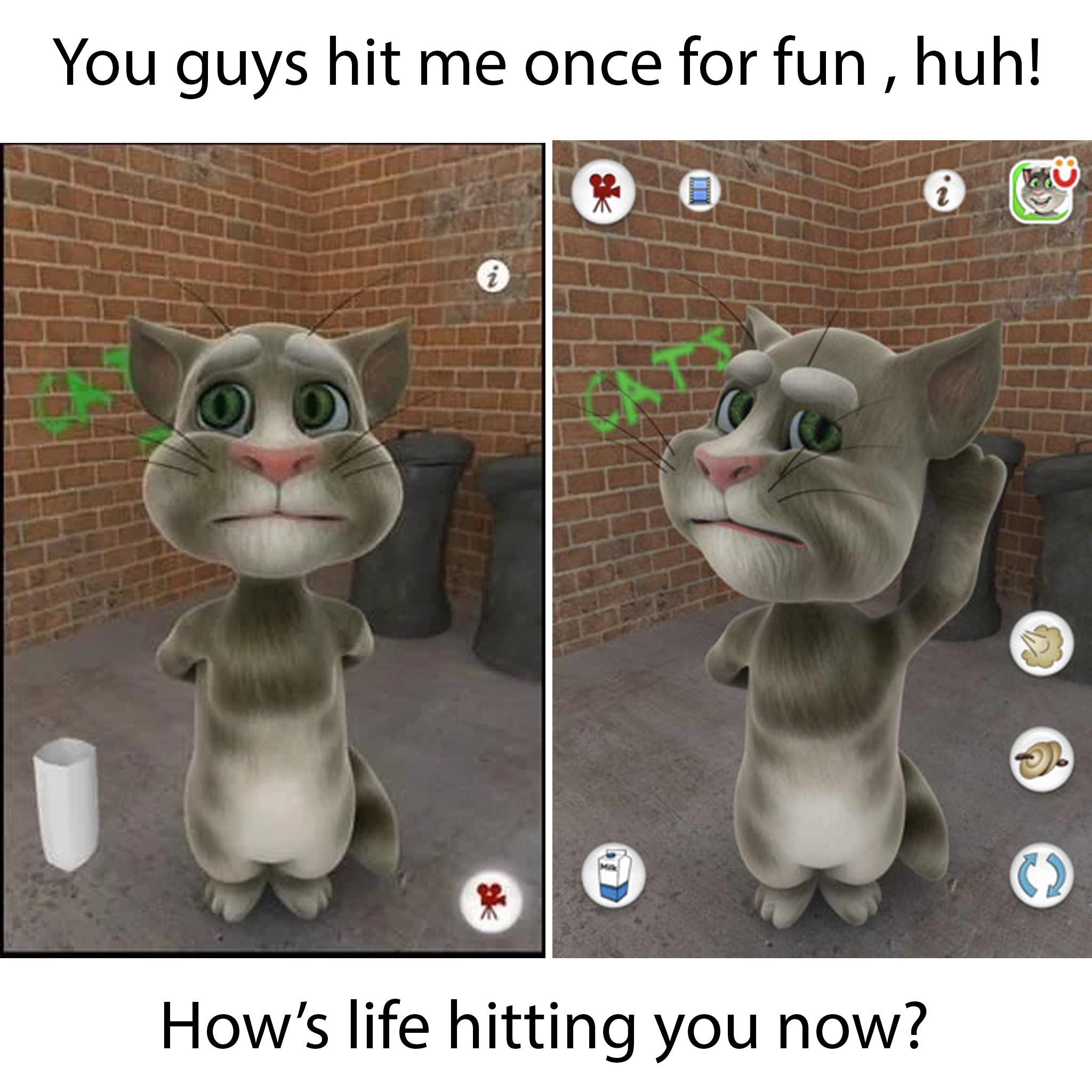 Sorry Talking Tom | /r/memes | Know Your Meme