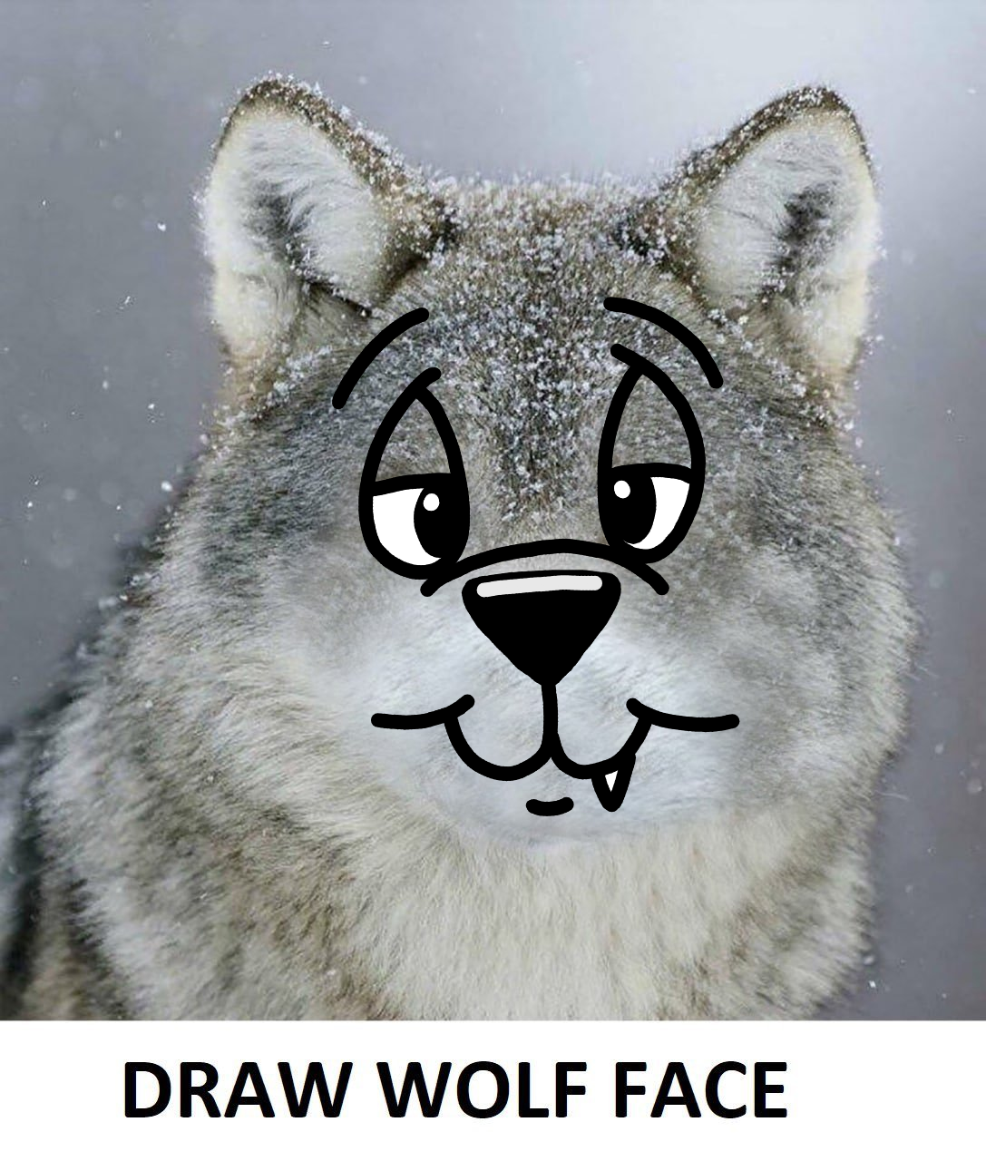 Simple Wolf Face | Draw Wolf Face | Know Your Meme