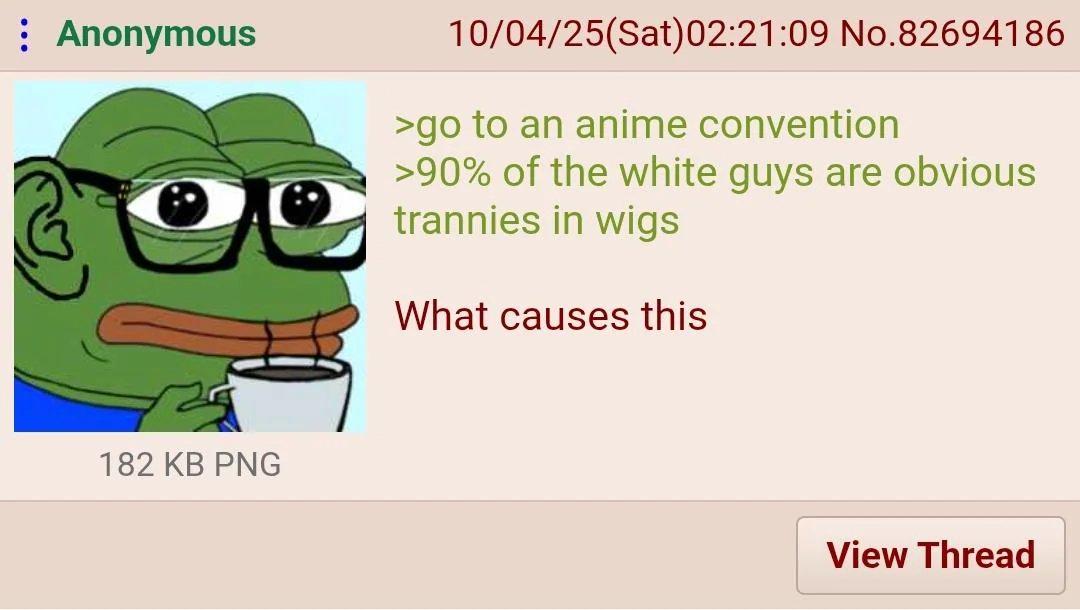 Anon goes to an anime convention | /r/Greentext | Know Your Meme
