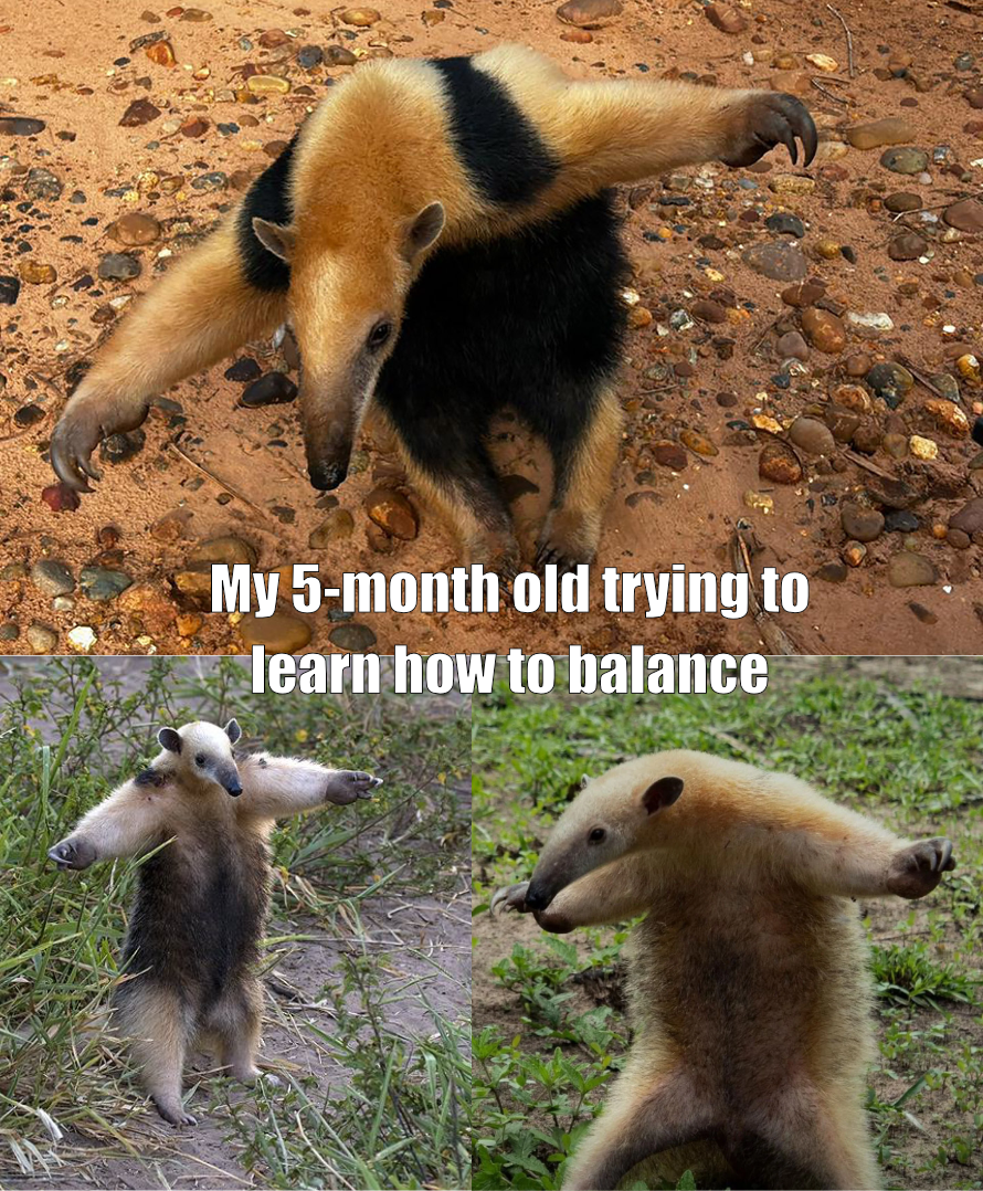 Accidental attack mode engaged | /r/memes | Know Your Meme