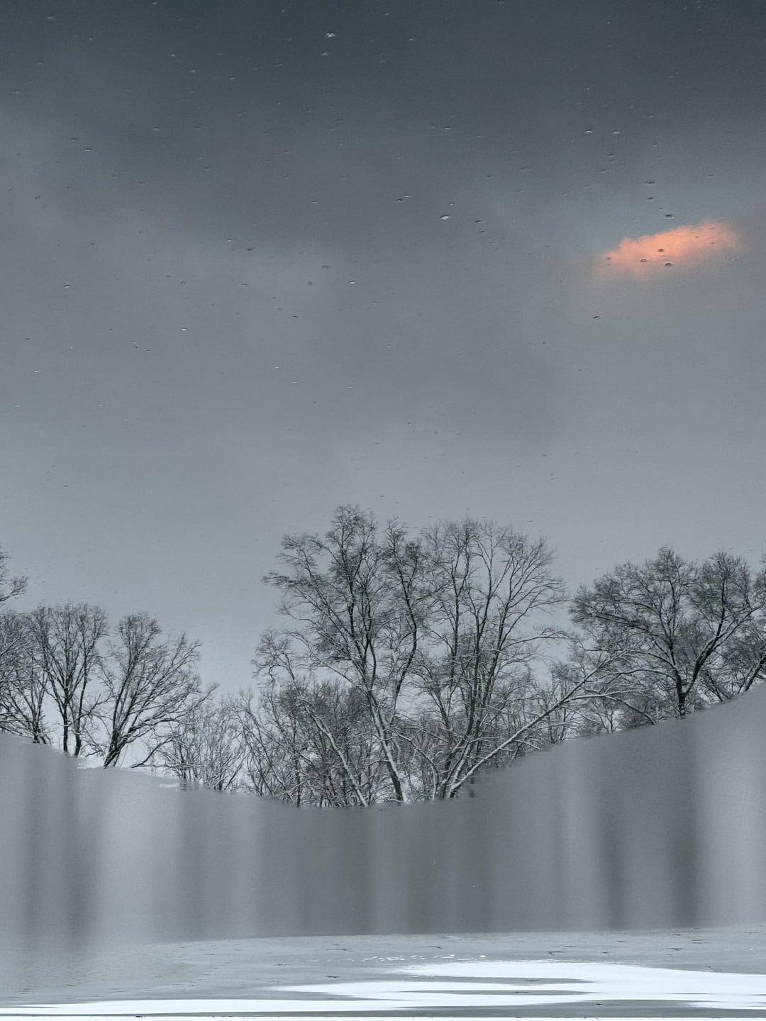 Blurry trees | Know Your Meme