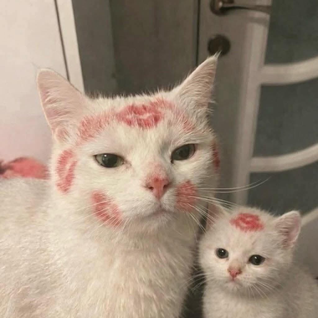 How sweet | /r/Hmmm | Know Your Meme