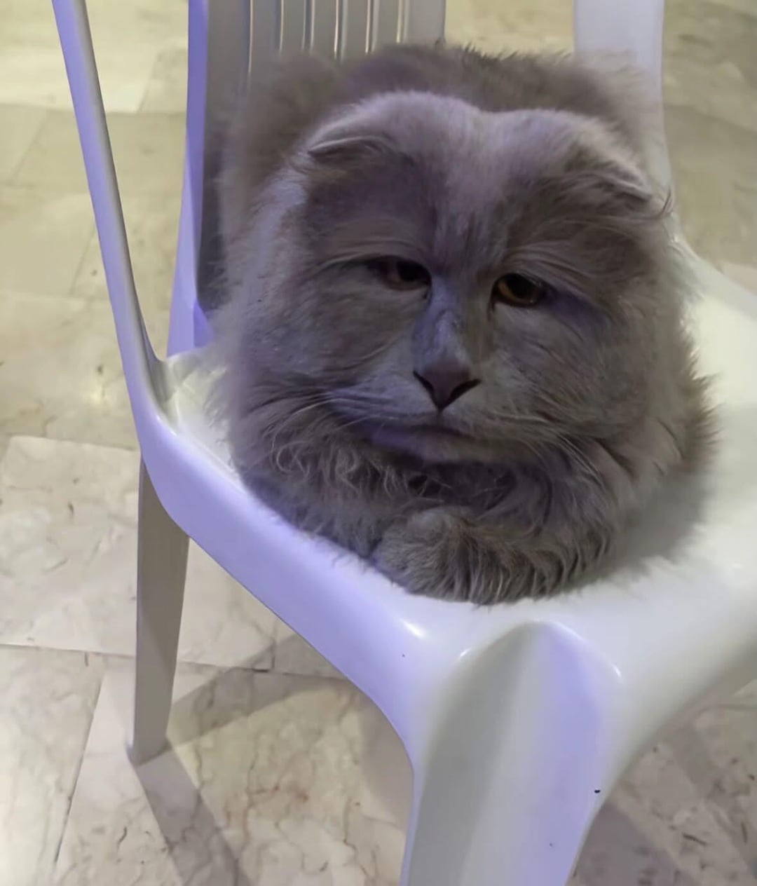 I am afraid... | /r/Hmmm | Know Your Meme