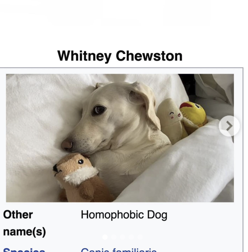 Whitney Chewston | Know Your Meme
