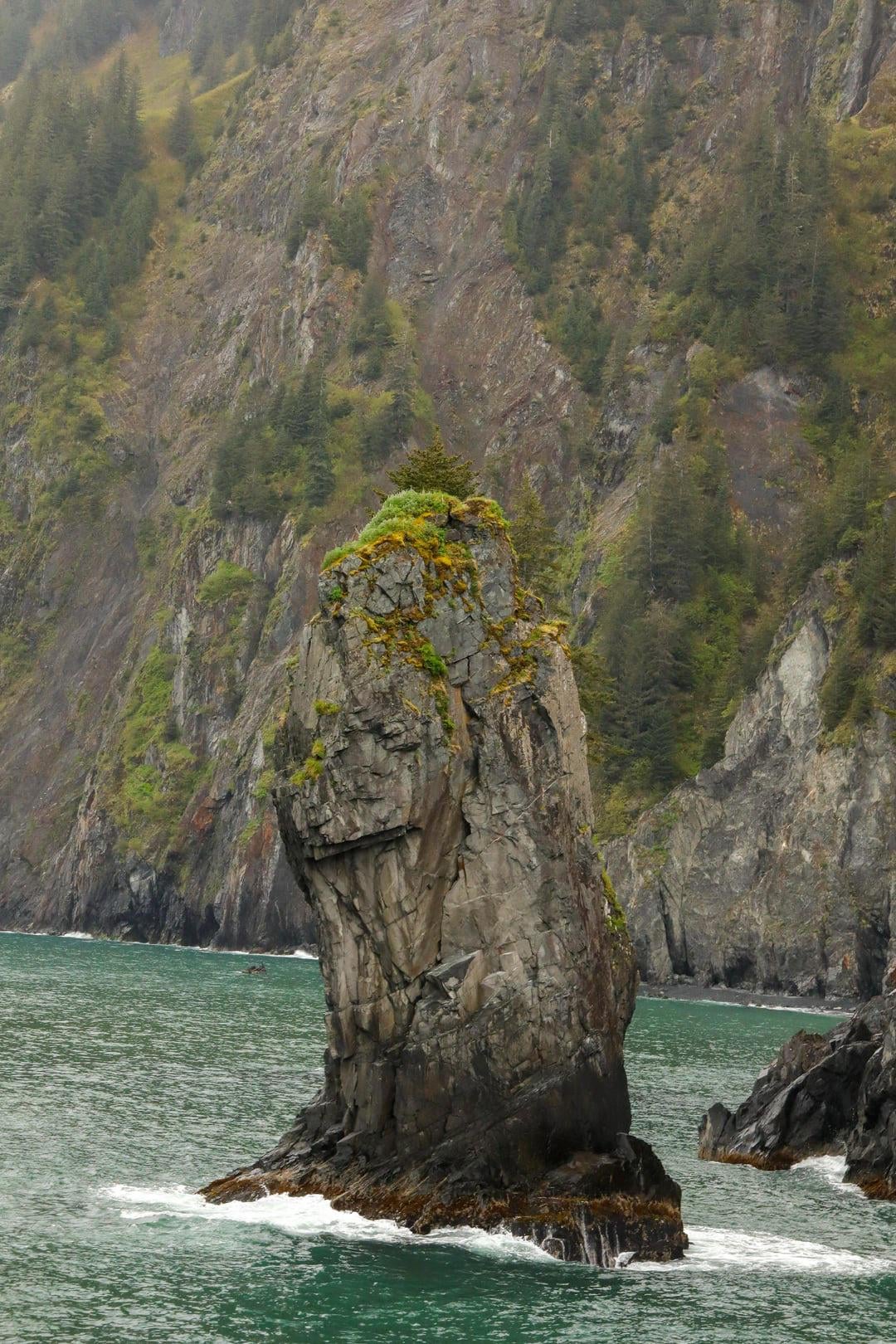 Kenai Fjords National Park | Know Your Meme