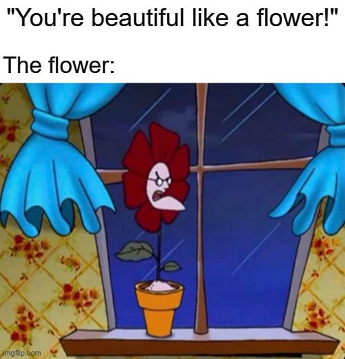 Ehmm...Thank you? | /r/dankmemes | Know Your Meme