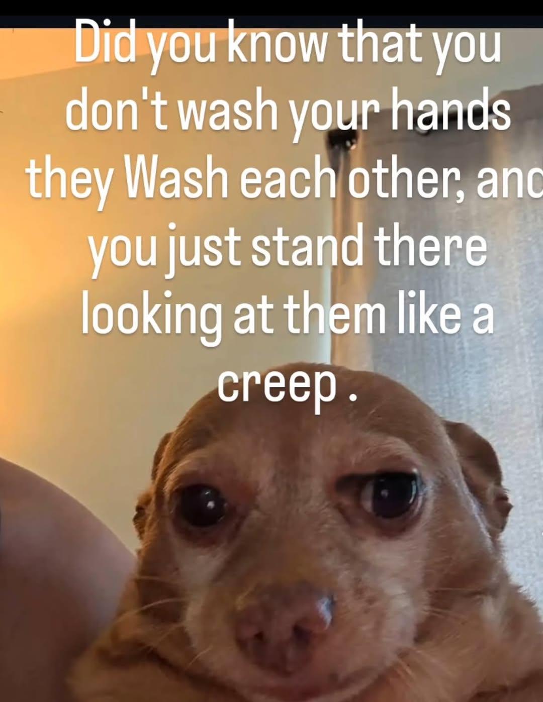 Intresting fact | /r/memes | Know Your Meme