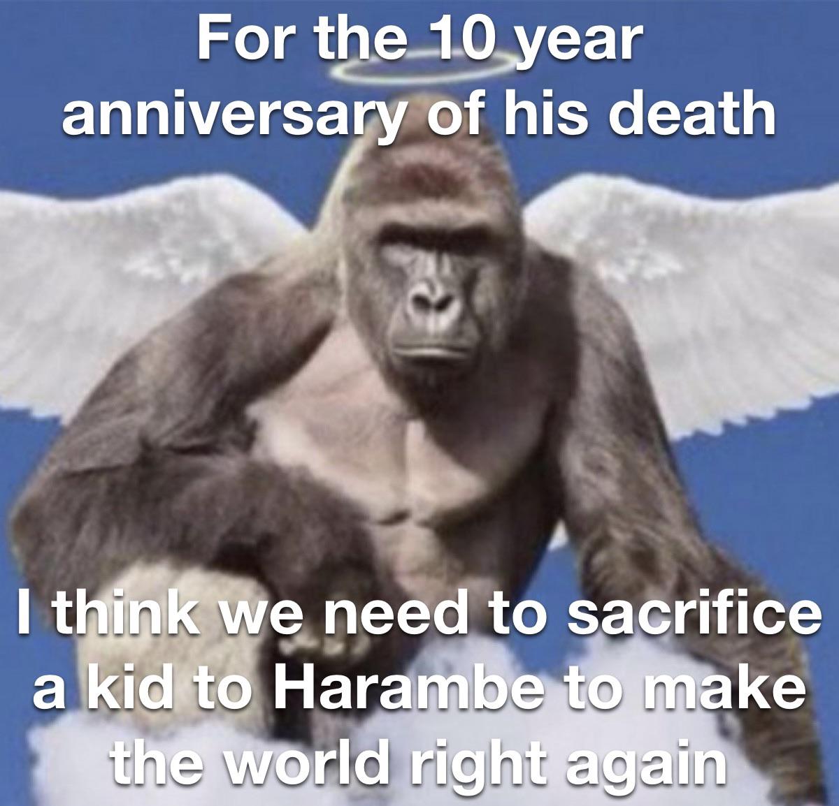 Just spit balling | /r/memes | Know Your Meme