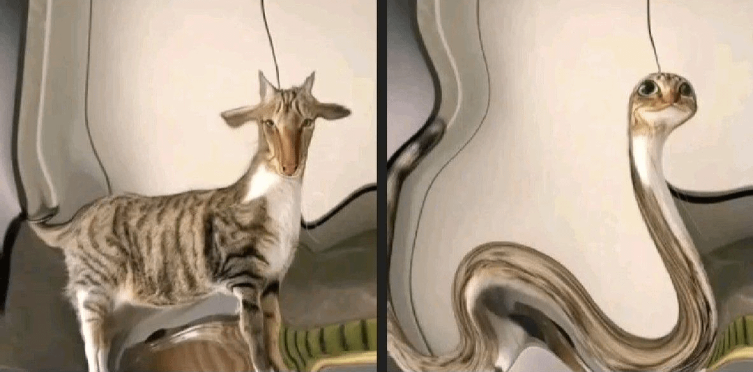 Hmmm... | /r/Hmmm | Know Your Meme