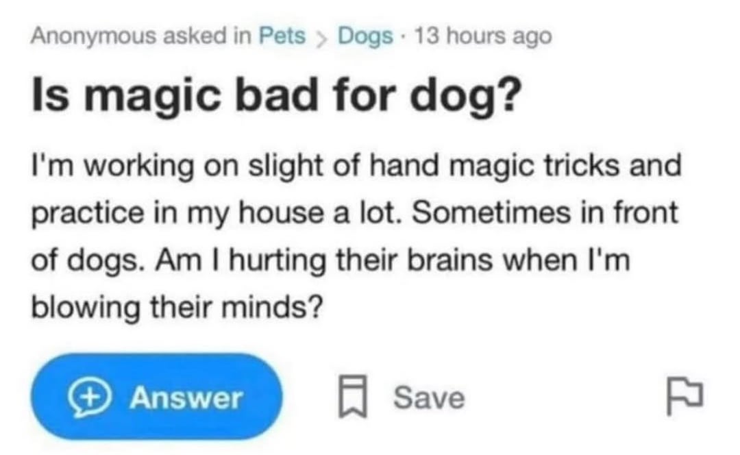 Is magic okay for dogs? | Know Your Meme