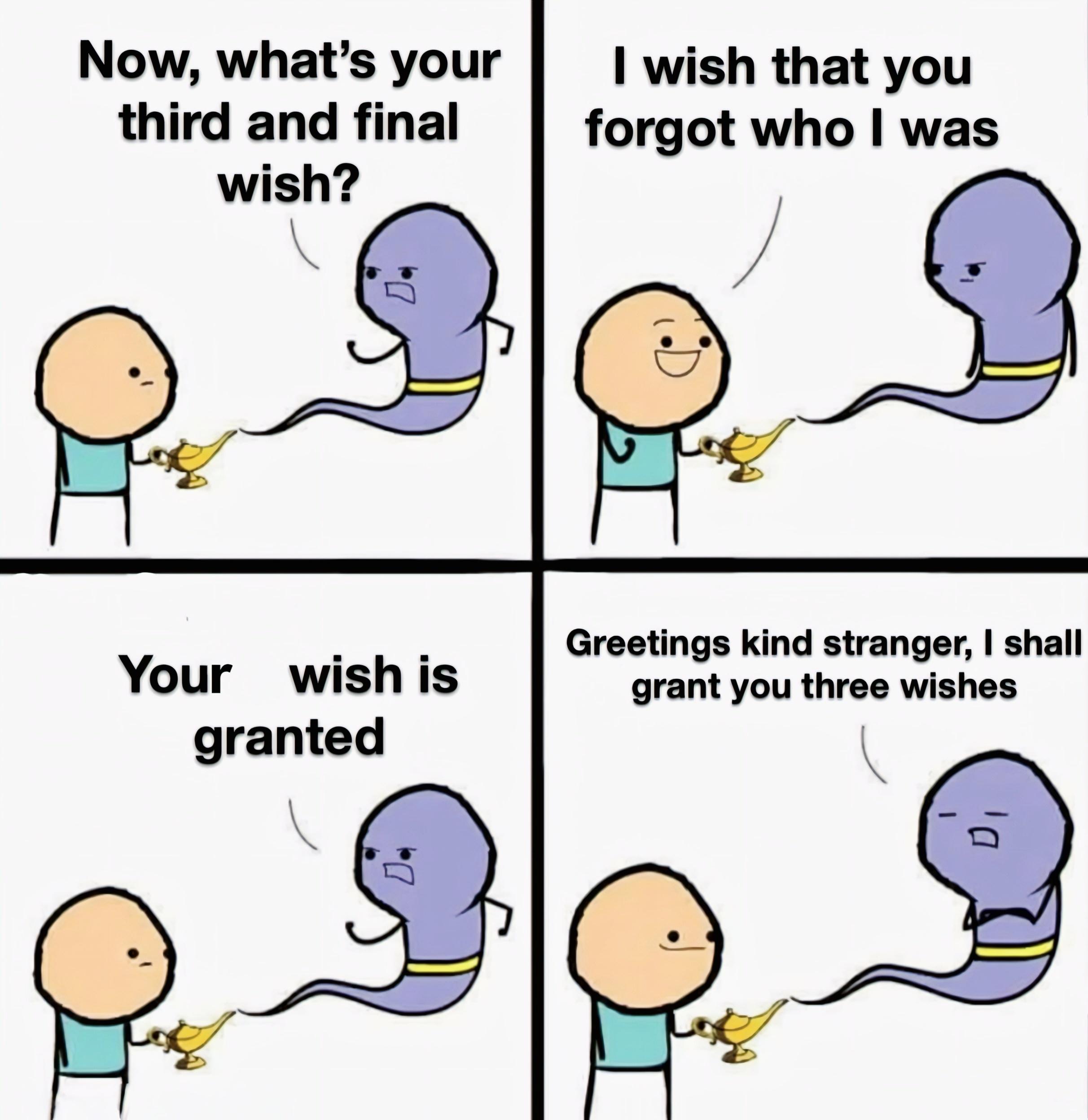Third Wish: Permanent Incognito Mode | /r/memes | Know Your Meme