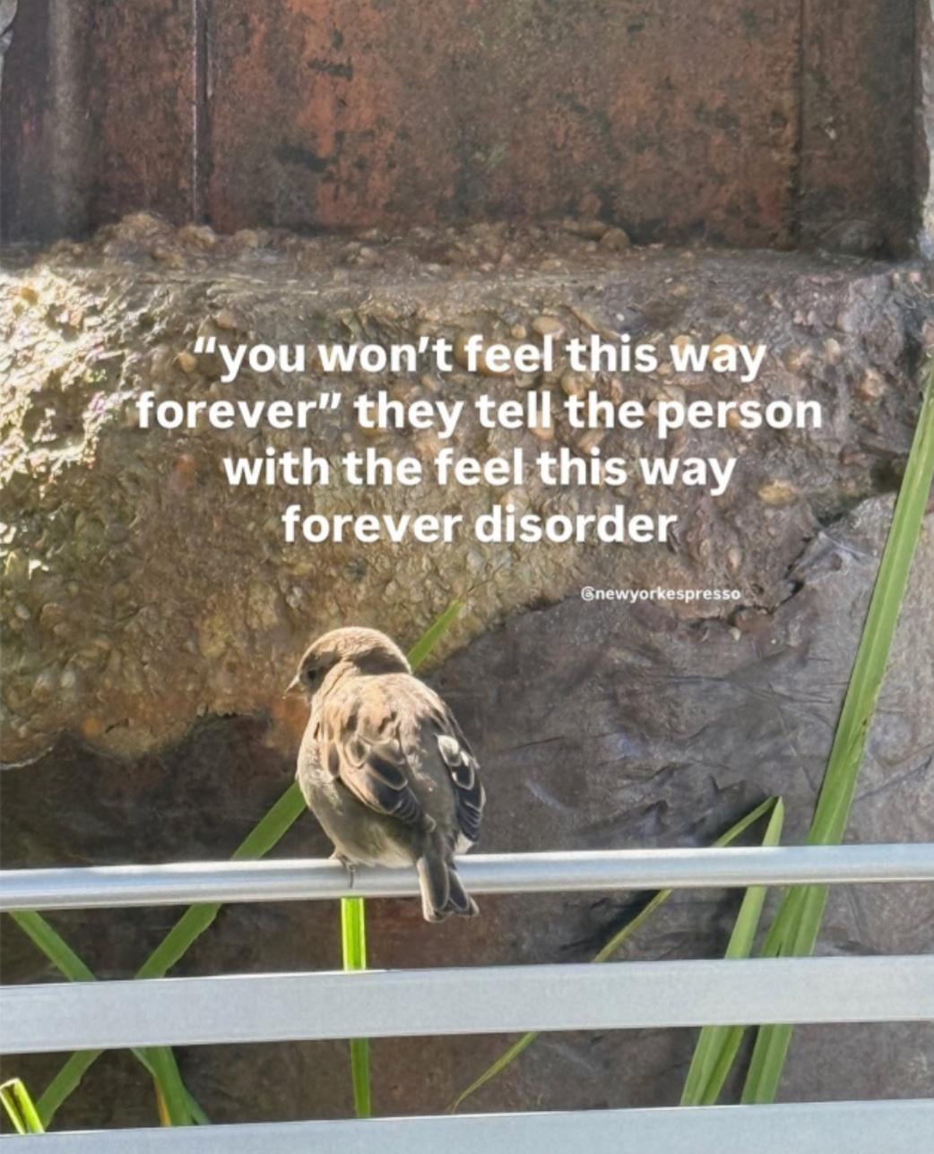 Woohoo | Know Your Meme