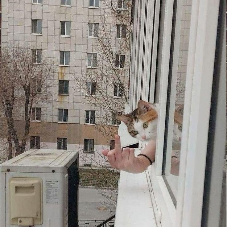 People watching | /r/Hmmm | Know Your Meme