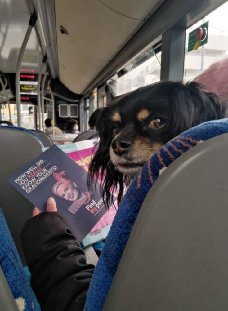 What're you looking at? | /r/Hmmm | Know Your Meme