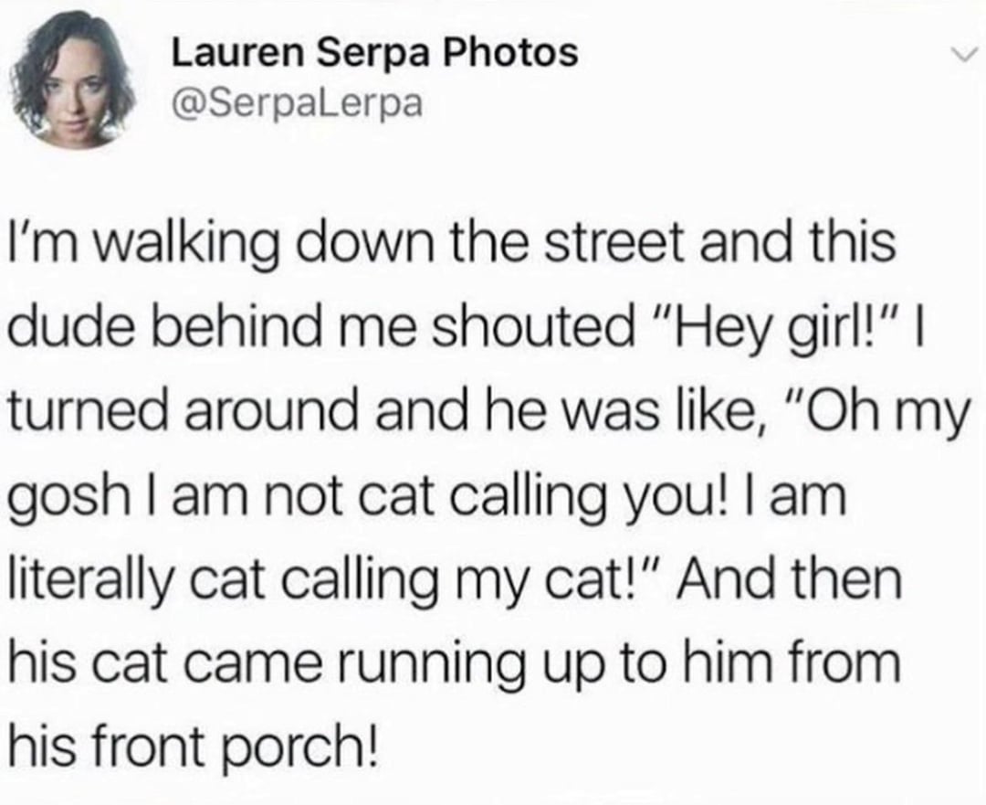 Cat calling | Know Your Meme