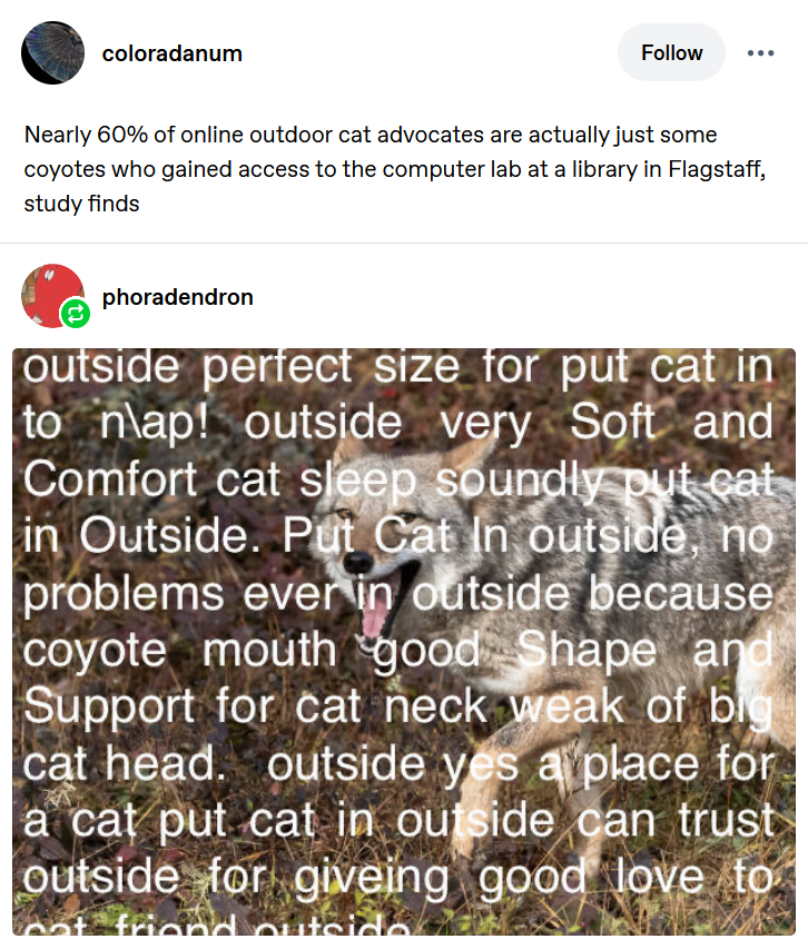 outdoor cat advocates just some coyotes who gained access to the ...