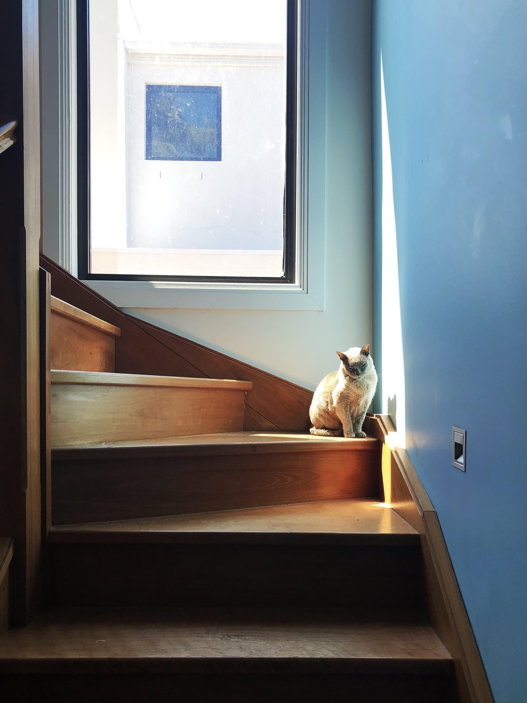 Sunbathing | Accidental Renaissance | Know Your Meme