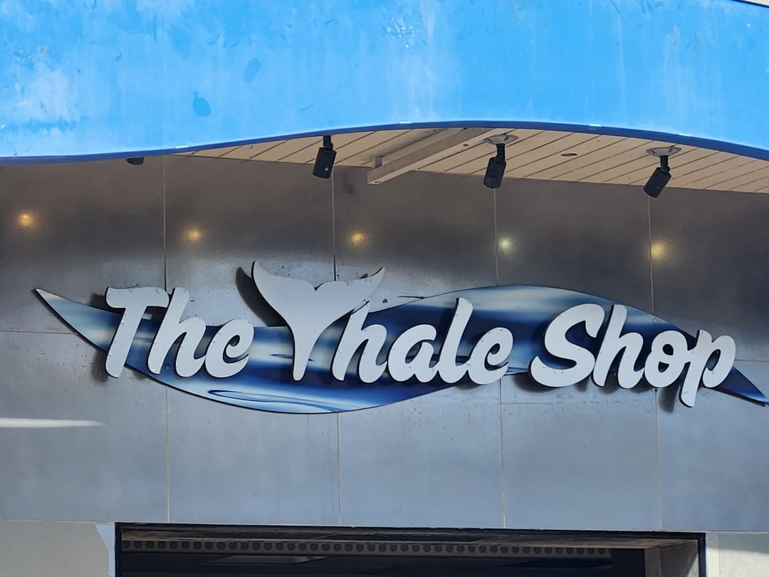 The whale tail looks like a Y, not a W | Know Your Meme