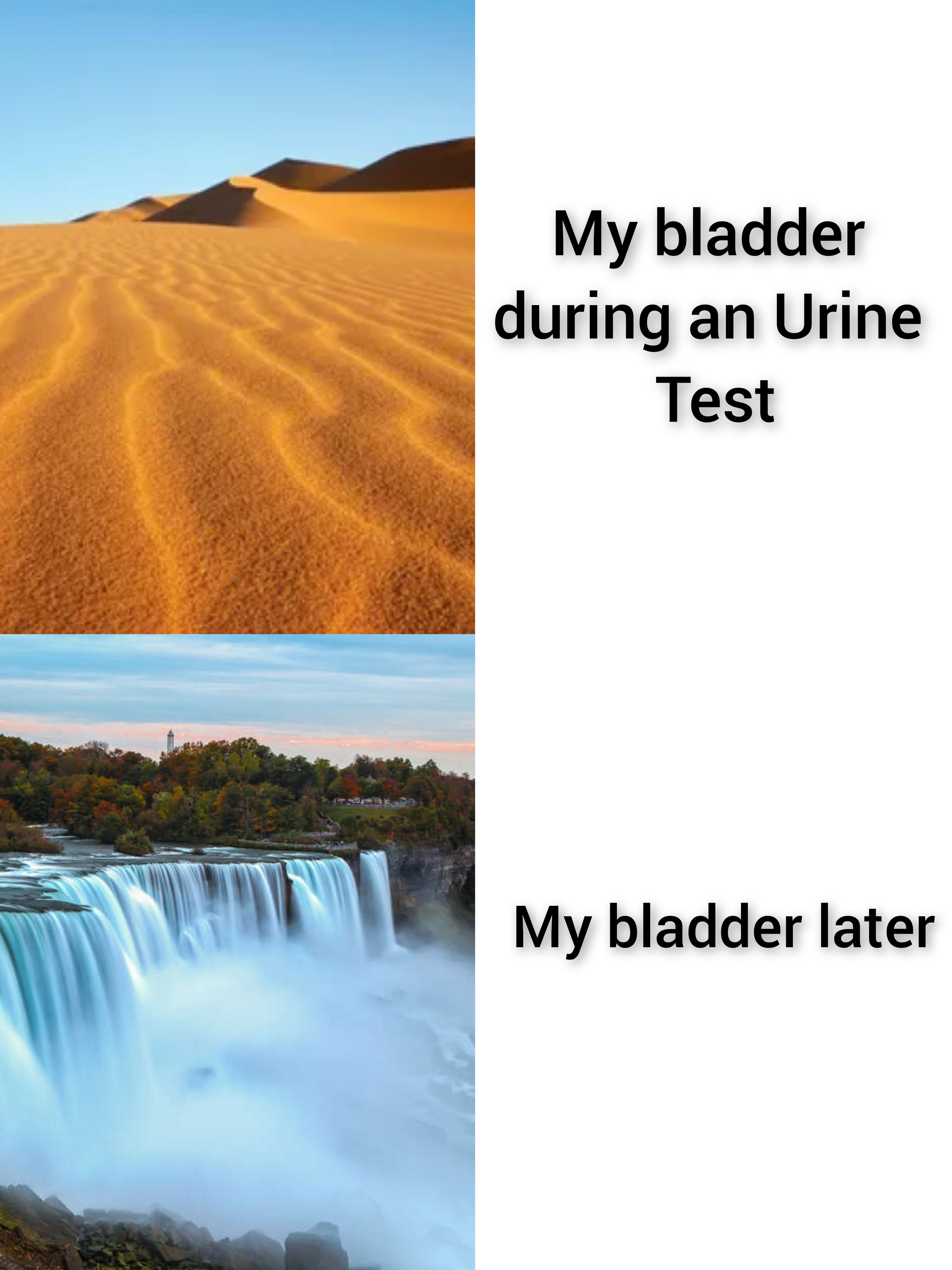 PLEASE, I NEED THIS!!! | /r/memes | Know Your Meme