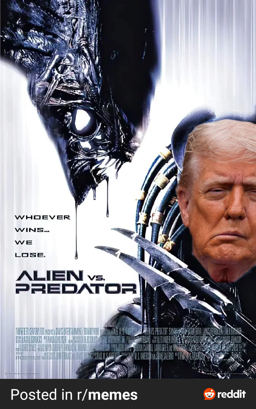 2026 bingo card going crazy | /r/dankmemes | Know Your Meme