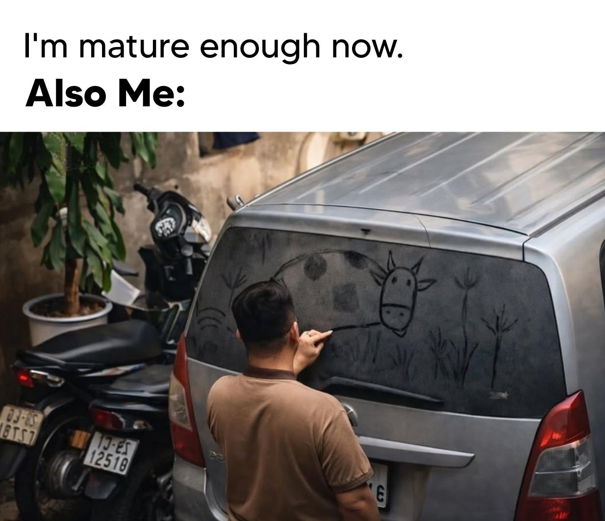 Maturity | /r/memes | Know Your Meme