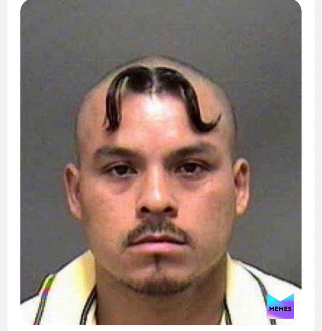 Moustache hair | Know Your Meme