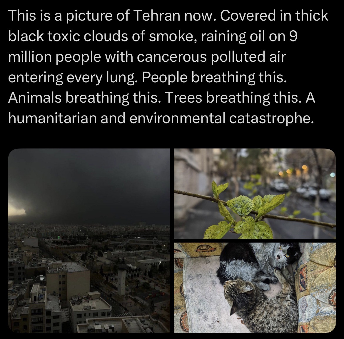 What America and Israel have done to Tehran | Know Your Meme