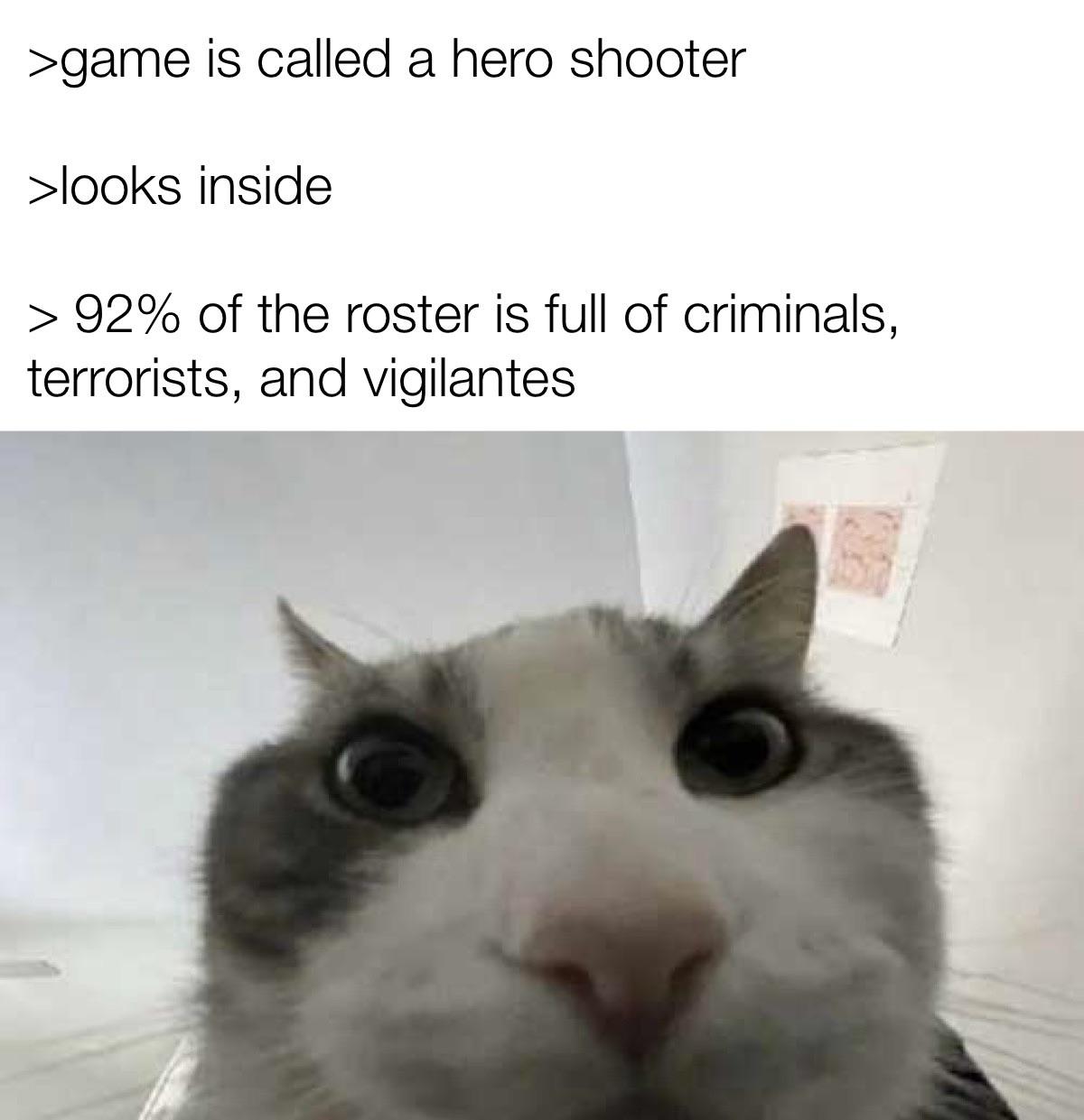 Nothing “heroic” about this shooter. | /r/memes | Know Your Meme
