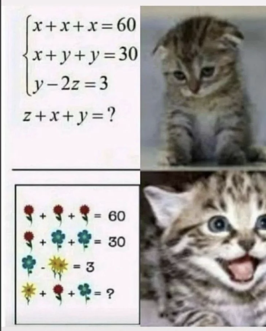 we all love our shapes! | /r/memes | Know Your Meme