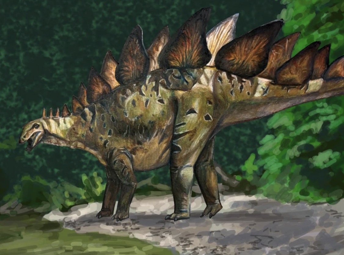 Updated walking with dinosaurs stegosaurus | Know Your Meme
